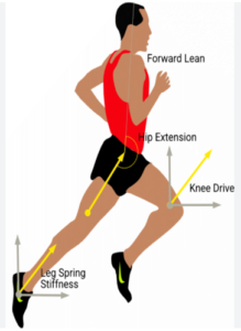 SDRE Chapter 5: Biomechanics of the Lower Extremity – The Senior Runner